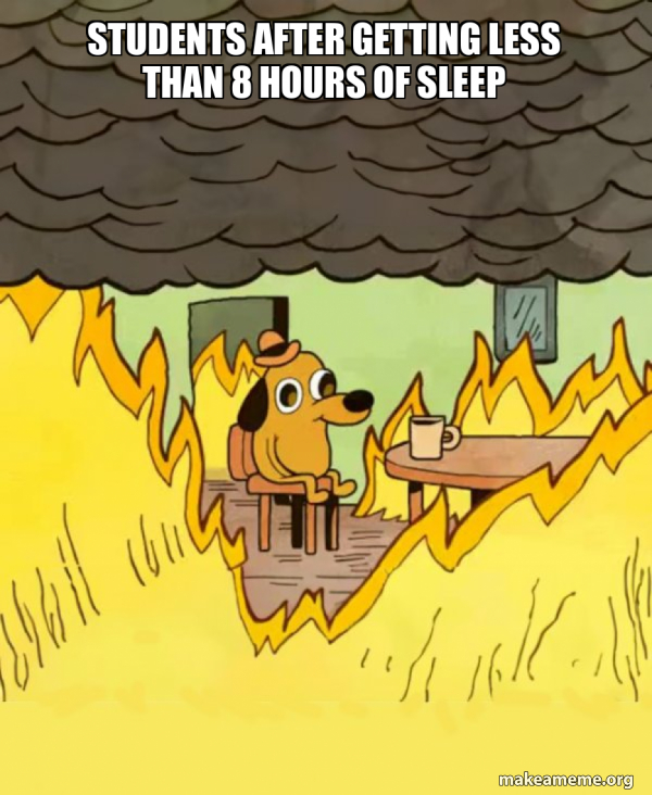 Students after getting less than 8 hours of sleep - This Is Fine Meme ...