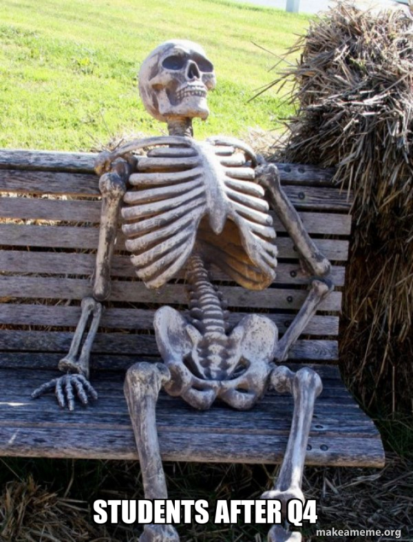 Students after Q4 - Waiting Skeleton Meme Generator
