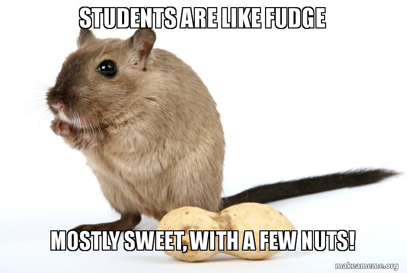 Students are like fudge mostly sweet, with a few NUTS! - NUTS! Meme ...