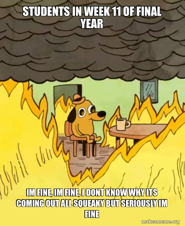 students in week 11 of final year Im fine, im fine, i dont know why its ...