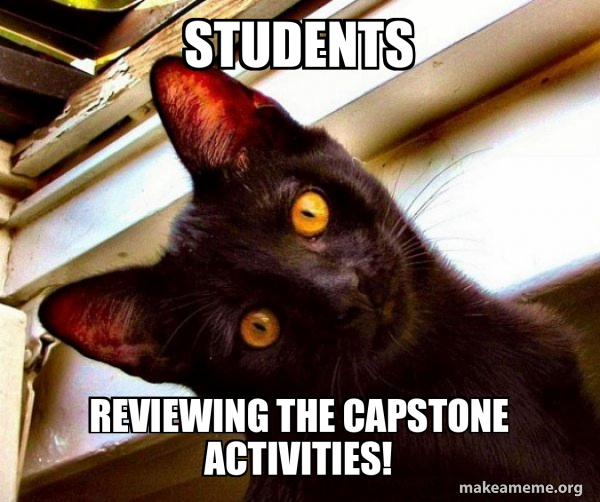 Students Reviewing the capstone activities! - Overly Attached Cat Meme ...