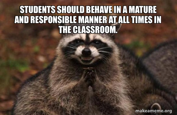 Students should behave in a mature and responsible manner at all times ...