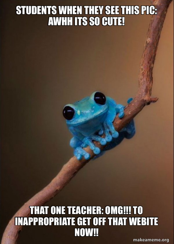 students when they see this pic: awhh its so cute! That one teacher ...