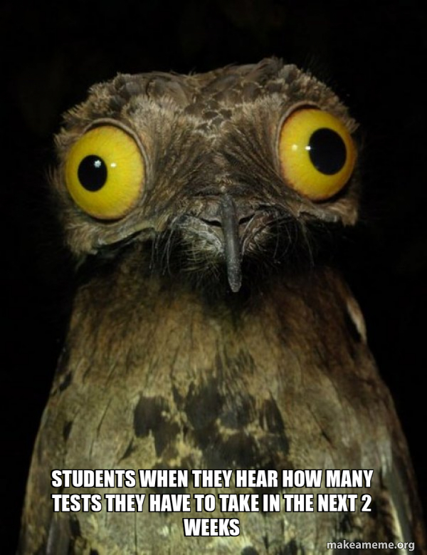 Students when they hear how many tests they have to take in the next 2 ...