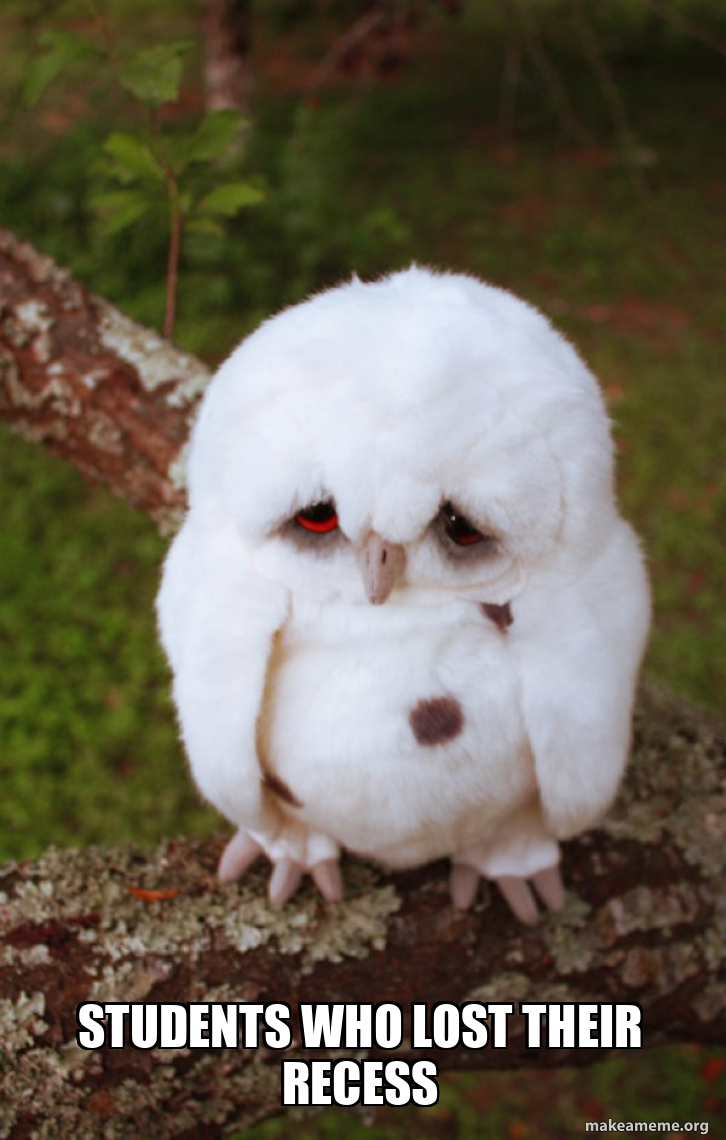 students who lost their recess - Sad Owl Meme Generator