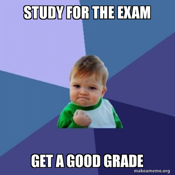 study for the exam get a good grade - Success Kid Meme Generator