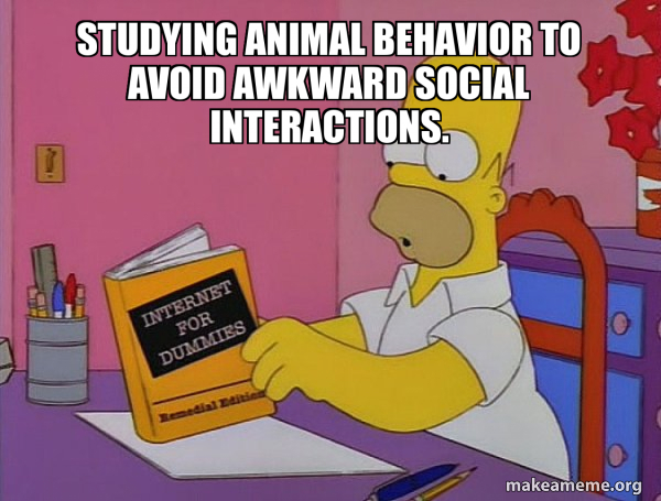 Studying animal behavior to avoid awkward social interactions ...