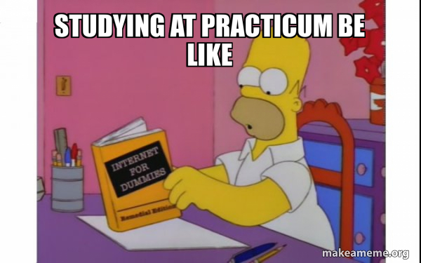 Studying at Practicum be like - Computer Homer Meme Generator