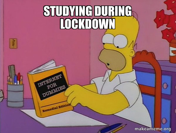 Studying during lockdown - Internets Homer Meme Generator