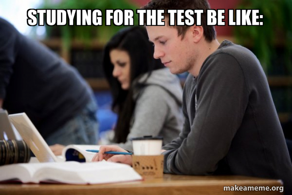 Studying for the test be like: - Conscientious College Senior Meme ...