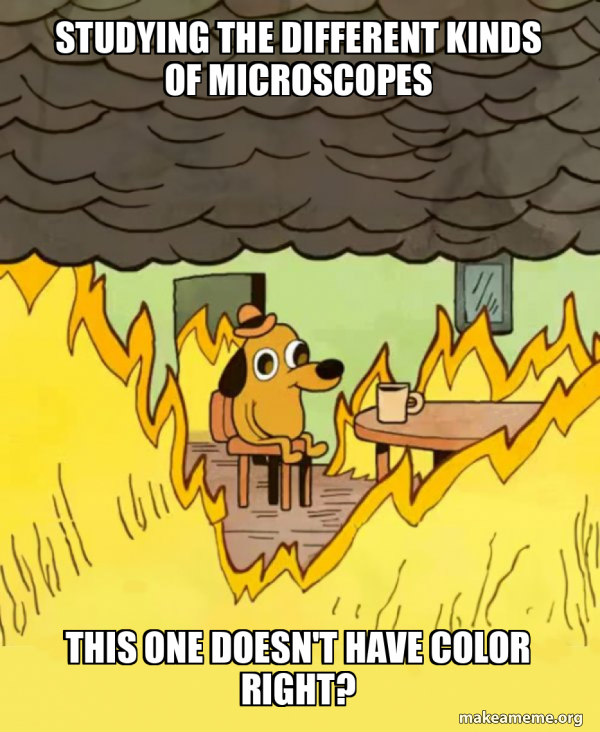 Studying the different kinds of Microscopes This one doesn't have color ...