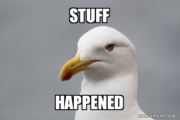 STUFF Happened - Stuff That Didn't Happen Seagull Meme Generator