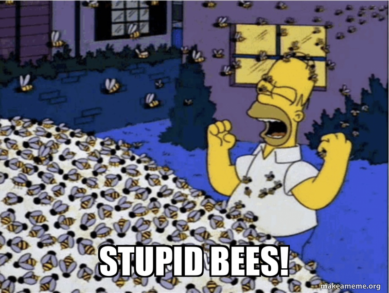 stupid bees! Meme Generator