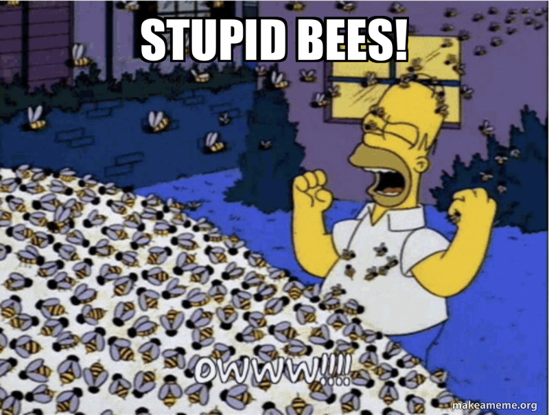 stupid bees! Meme Generator