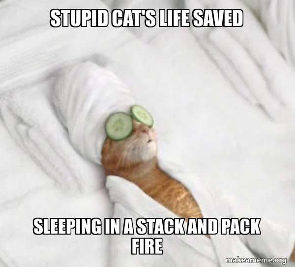 stupid cat's life saved sleeping in a stack and pack fire - Pampered ...