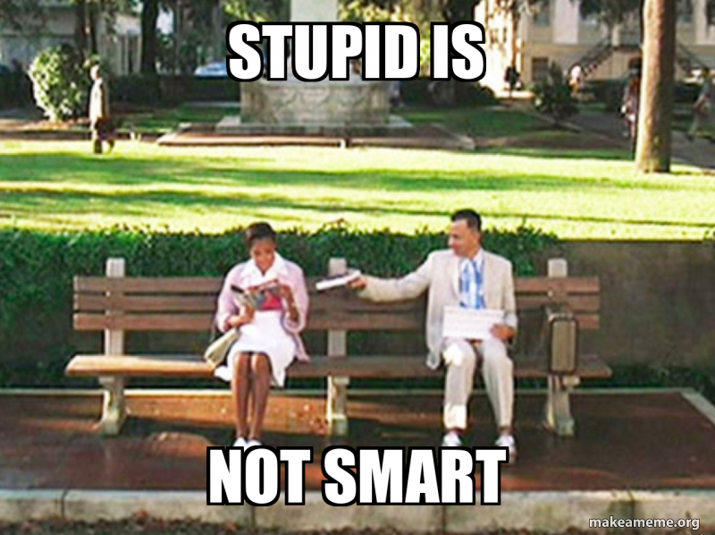 Stupid is Not smart Meme Generator