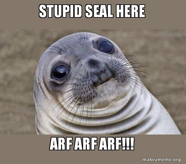 stupid seal here arf arf arf!!! - Squeamish Seal Meme Generator