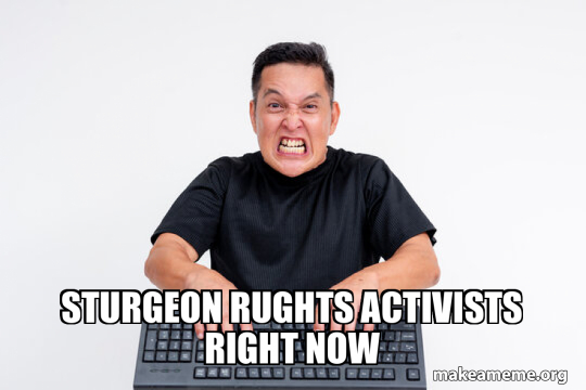 STURGEON rughts ACTIVISTS Right now Meme Generator
