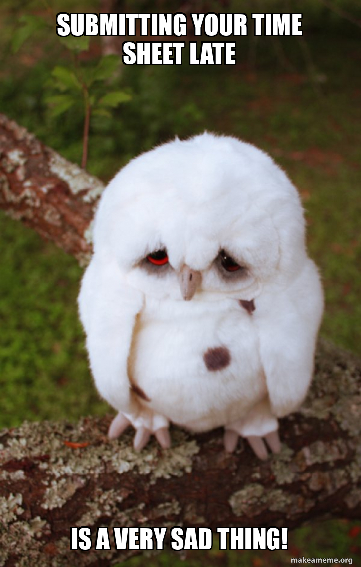 Submitting your time sheet late Is a very sad thing! - Sad Owl Meme ...