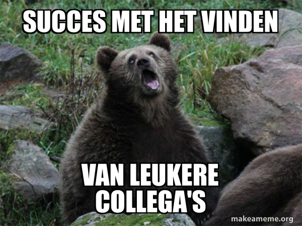 SUCCES MET HET VINDEN VAN LEUKERE COLLEGA'S - Sarcastic Bear Meme Generator