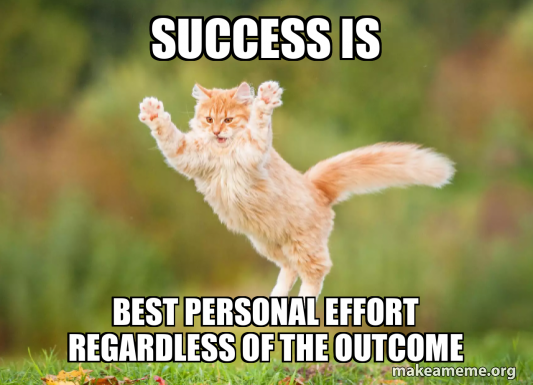 SUCCESS IS BEST PERSONAL EFFORT REGARDLESS OF THE OUTCOME Meme Generator