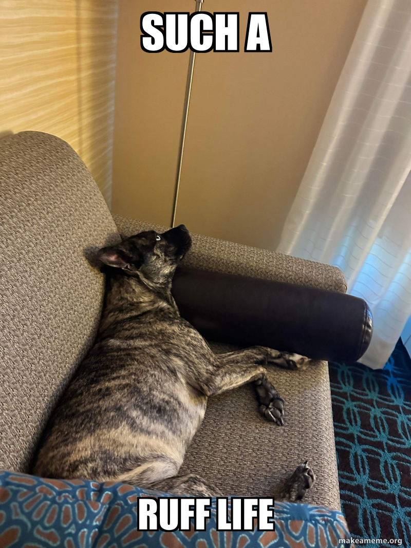 Such a Ruff life Meme Generator