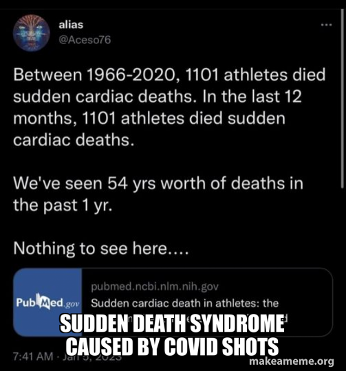 sudden death syndrome caused by covid shots Meme Generator