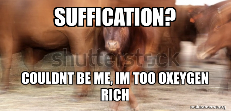 Suffication? Couldnt be me, im too Oxeygen rich Meme Generator