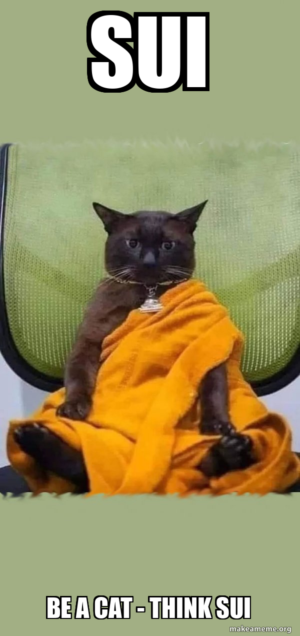 SUI be a cat - think SUI - Zen Cat Meme Generator