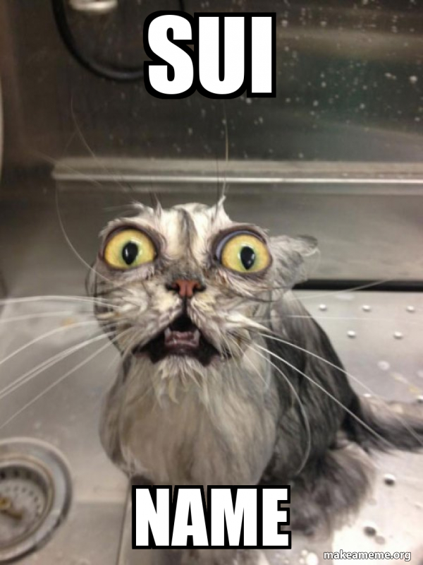 SUI name - Cat bath Meme Generator