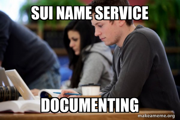 Sui Name Service Documenting - Conscientious College Senior Meme Generator