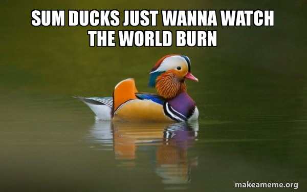 Sum ducks just wanna watch the world burn - Fashionable Advice Mallard ...