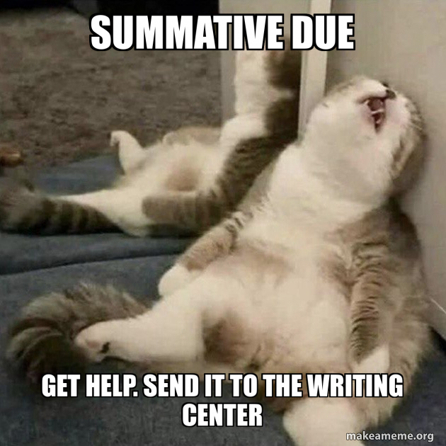 Summative due Get help. Send it to the writing center Meme Generator