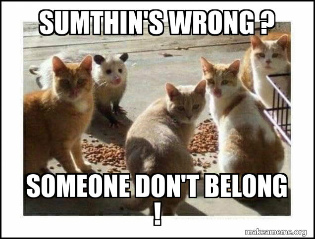 sumthin's wrong ? someone don't belong ! Meme Generator