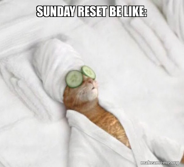 Sunday reset be like: - Pampered Cat Meme Meme Generator