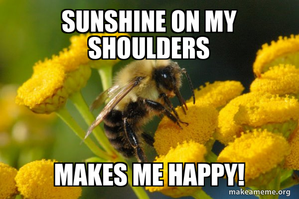 Sunshine on My Shoulders Makes Me Happy! - Good Guy Bee Meme Generator