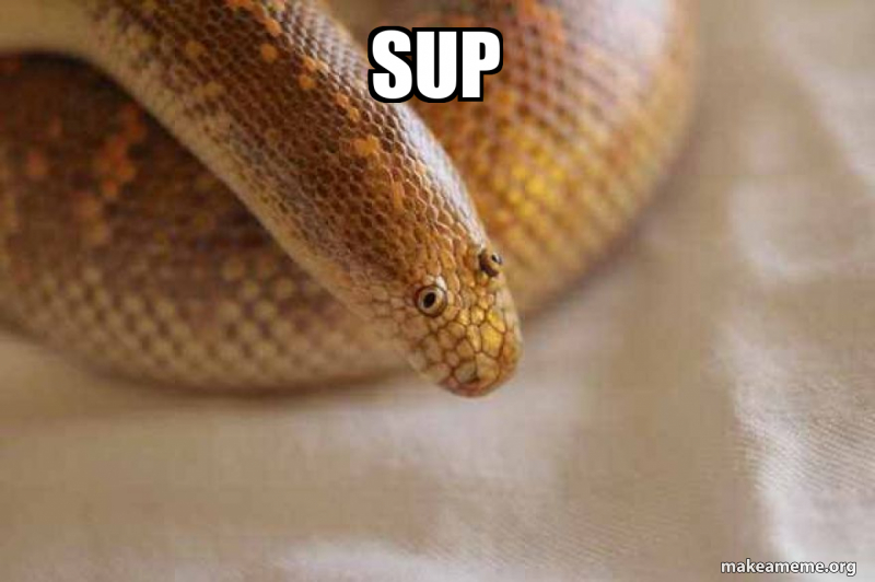 Sup Meme Generator