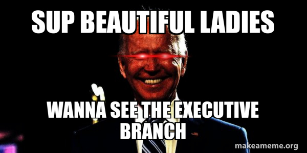 Sup beautiful ladies wanna see the executive branch - Dark Brandon Meme ...