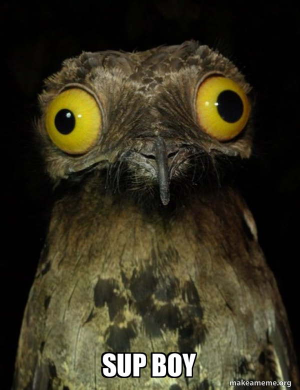 Sup boy - Weird Stuff I do Potoo Meme Generator