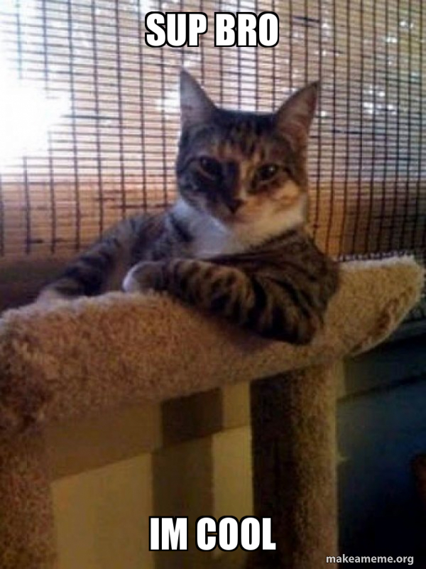 Sup Bro Im Cool - The Most Interesting Cat in the World Meme Generator