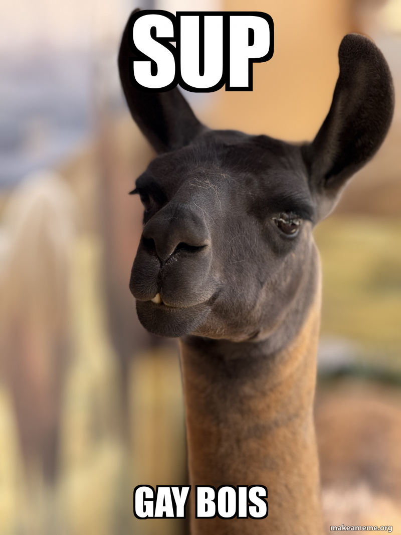 Sup Gay bois Meme Generator