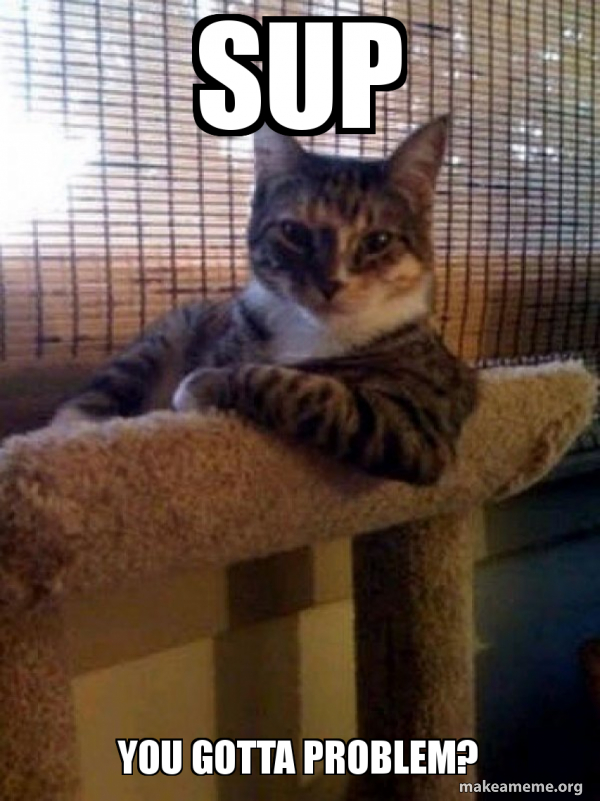 Sup You gotta problem? - The Most Interesting Cat in the World Meme ...