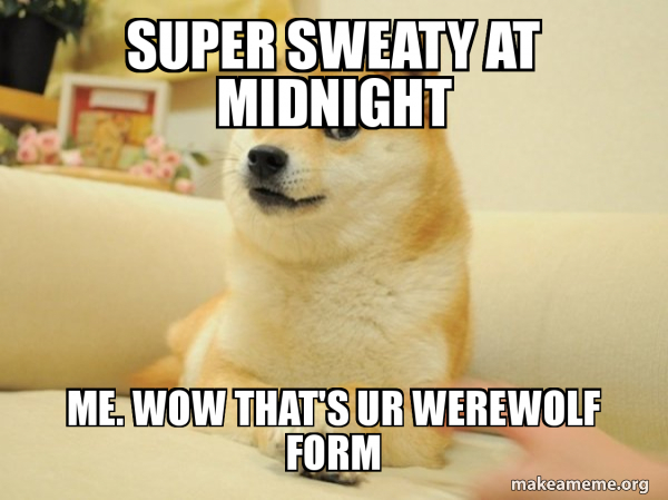 super sweaty at midnight me. wow that's ur werewolf form - Doge Meme ...