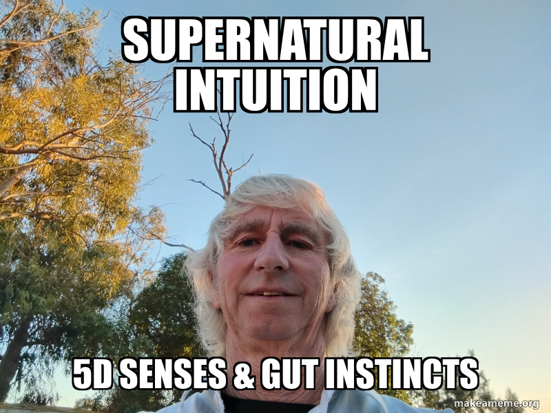 Supernatural intuition 5d senses & Gut instincts Meme Generator