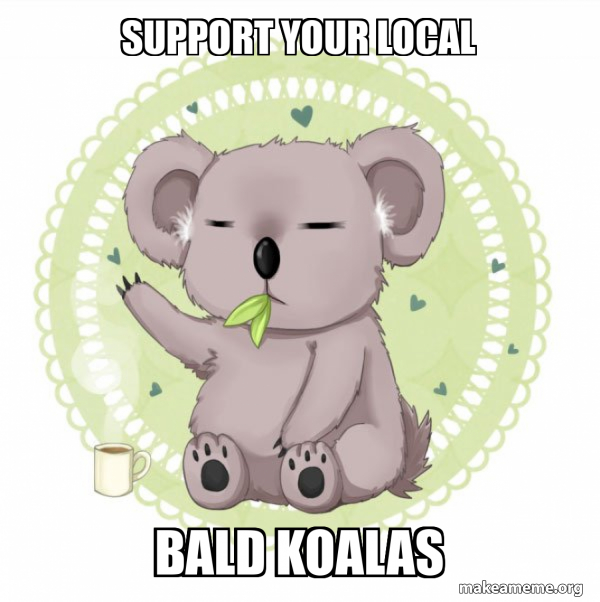 Support your local Bald koalas - Aussie Koala doing the night shift ...