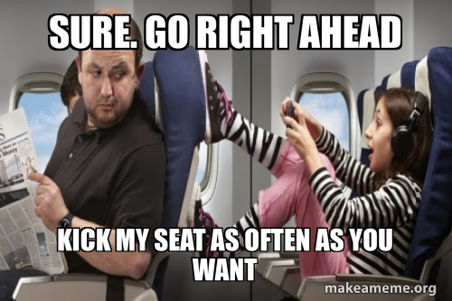 sure. go right ahead kick my seat as often as you want Meme Generator