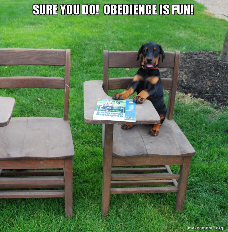 Sure you do! Obedience is Fun! Meme Generator