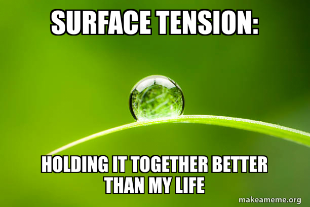 Surface Tension: Holding it together better than my life Meme Generator