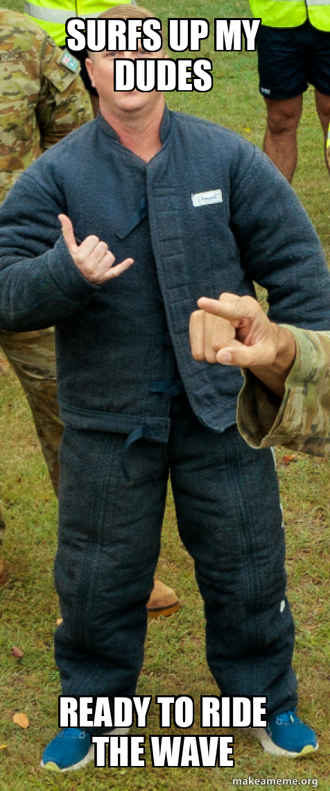 surfs up my dudes ready to ride the wave Meme Generator