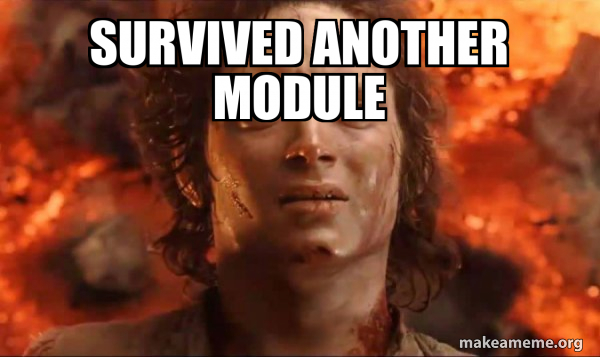 Survived Another Module - Frodo it's over it's done Meme Generator